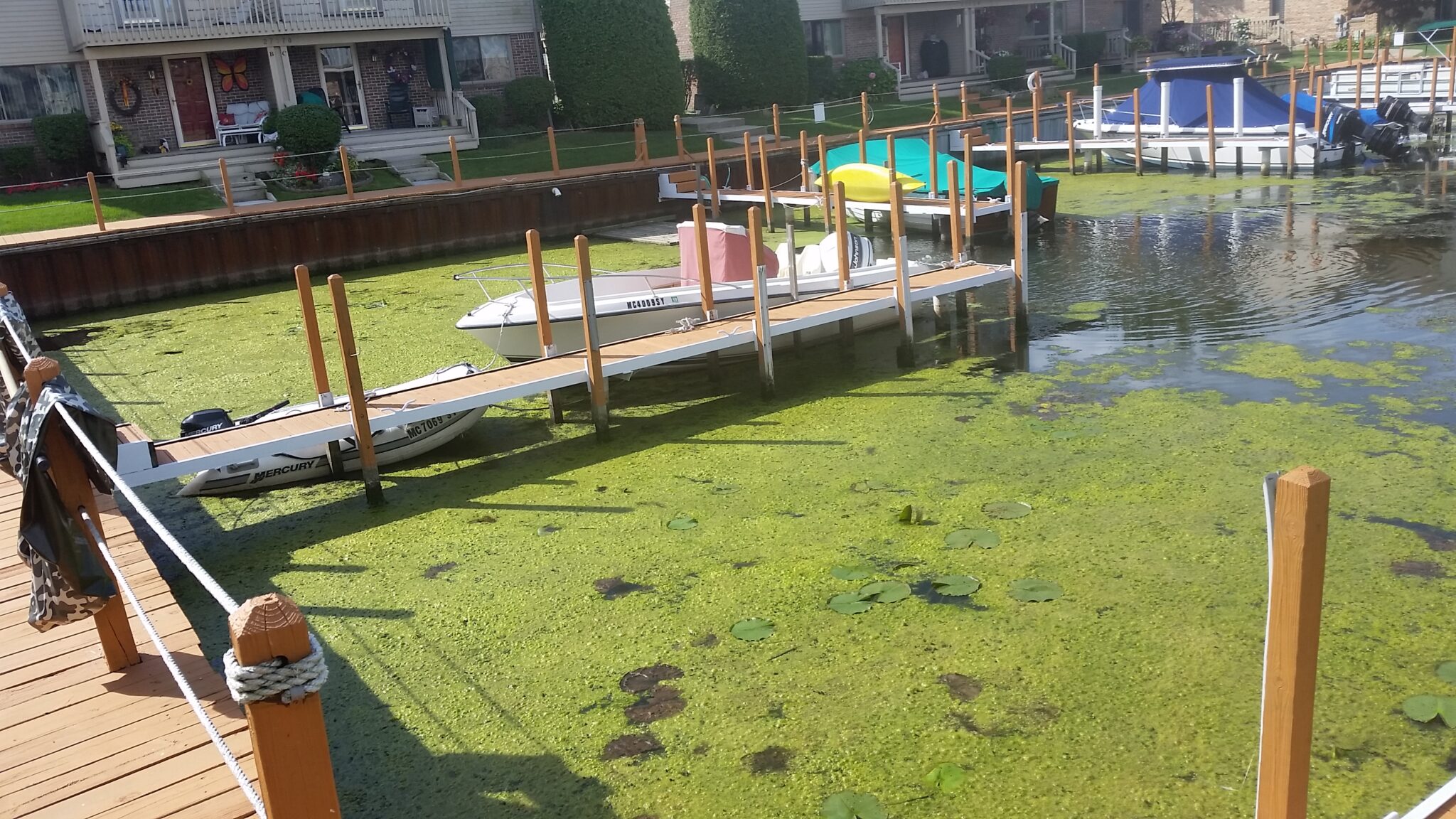 Phosphorous Mitigation - Aqua-Weed Control